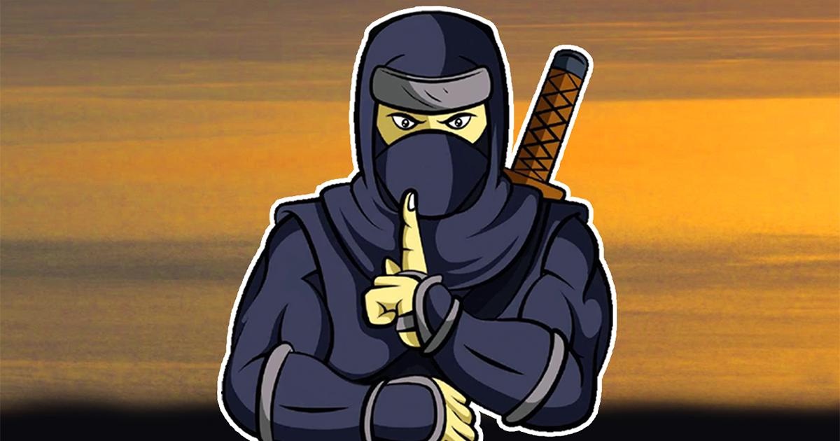 Ninja in Cape | GameArter.com